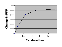 Catalase Detection
